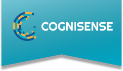 Cognisense